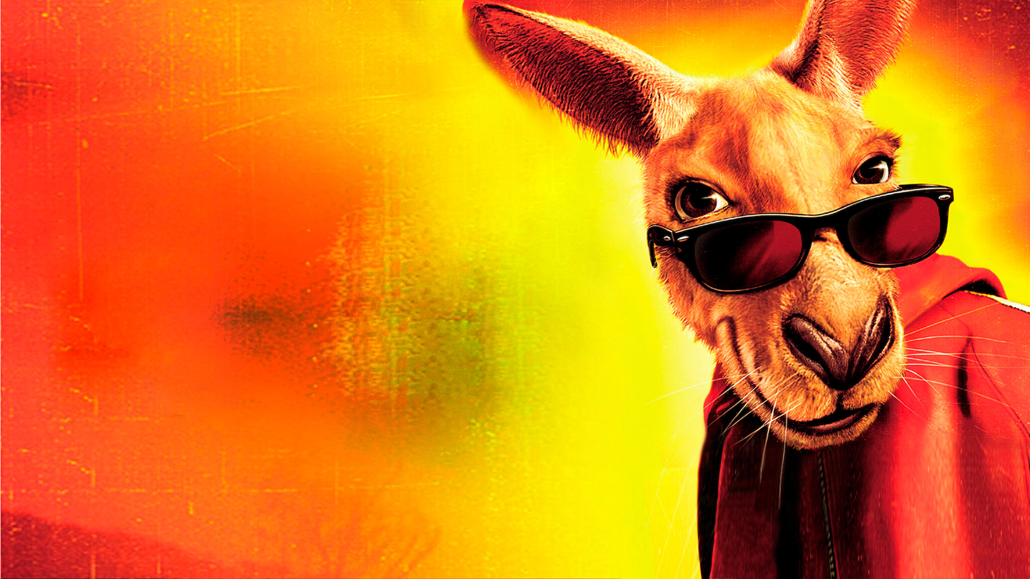 Cartone Animato Canguro Jack