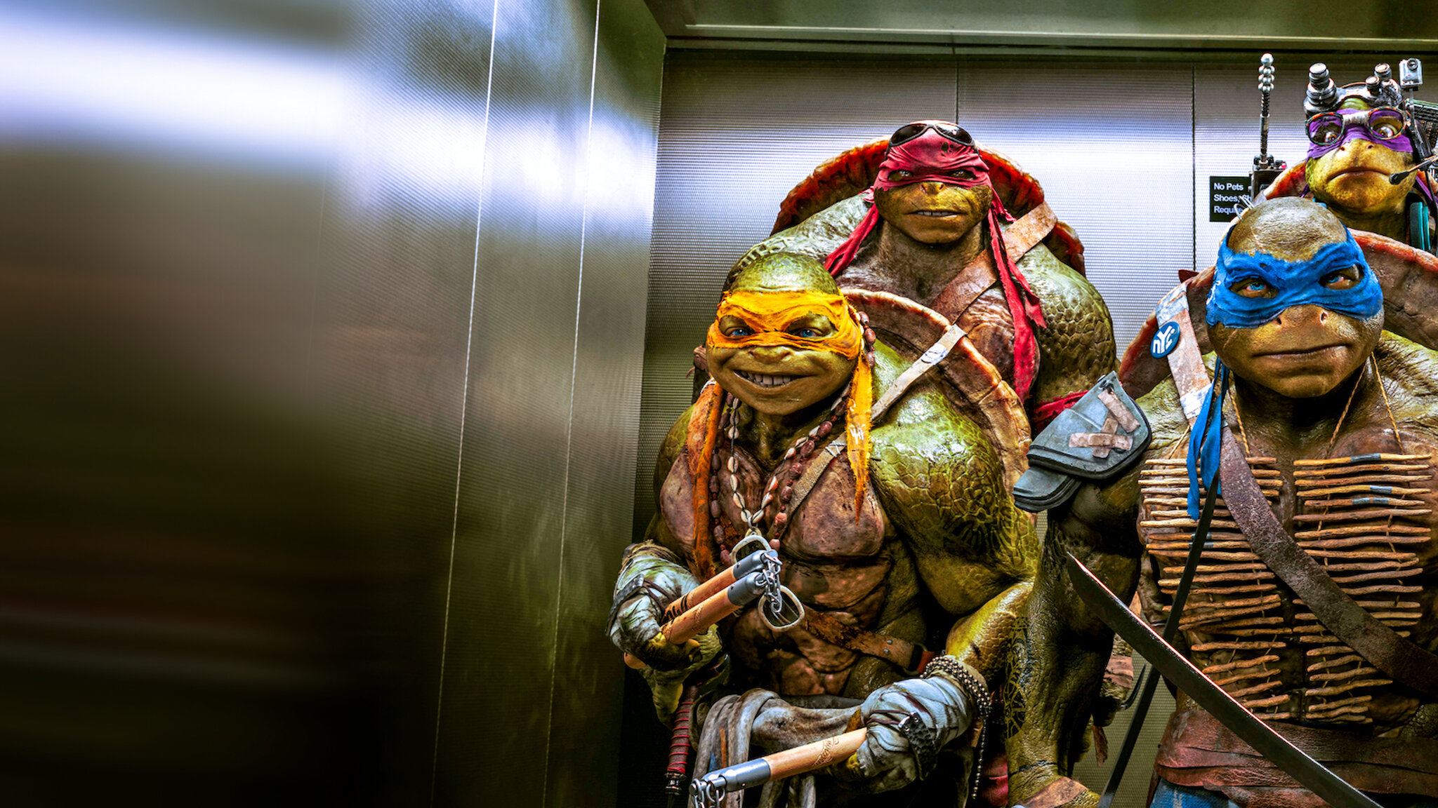 Real Mutant Ninja Turtles