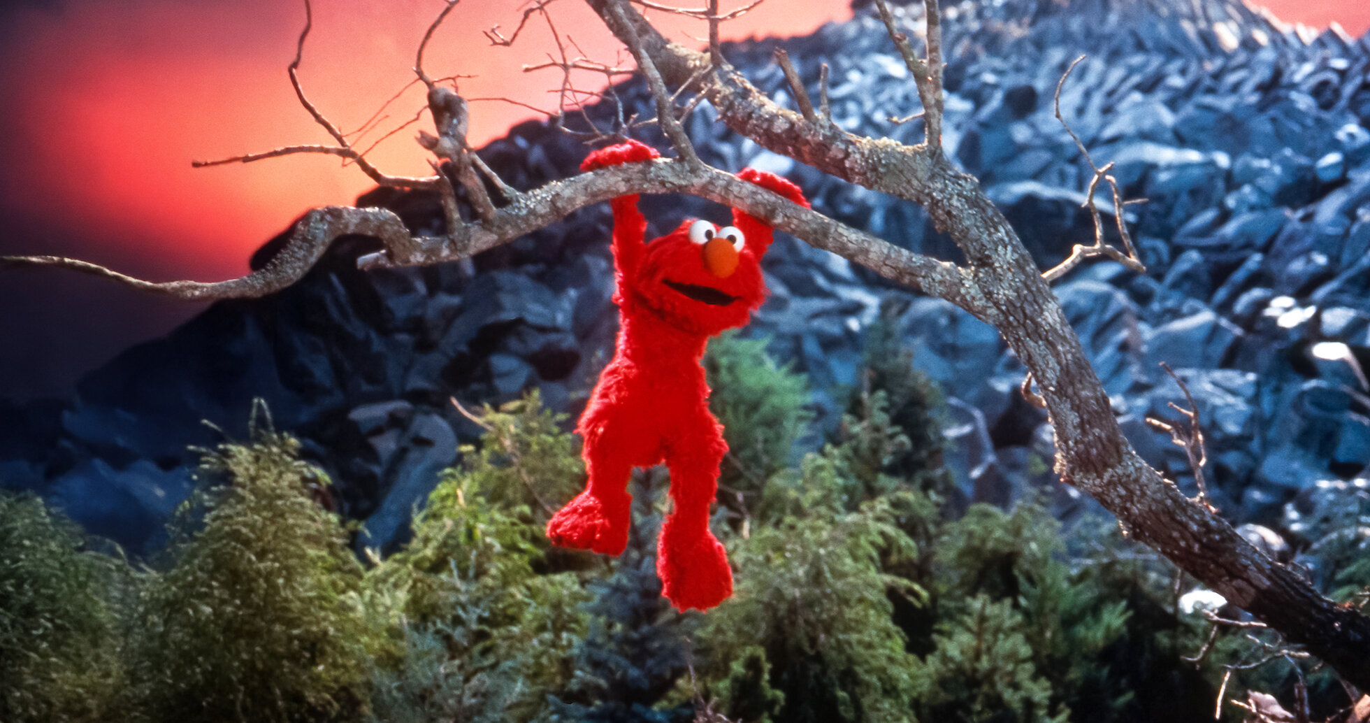 La Tonta Y Confusa Granja De Elmos