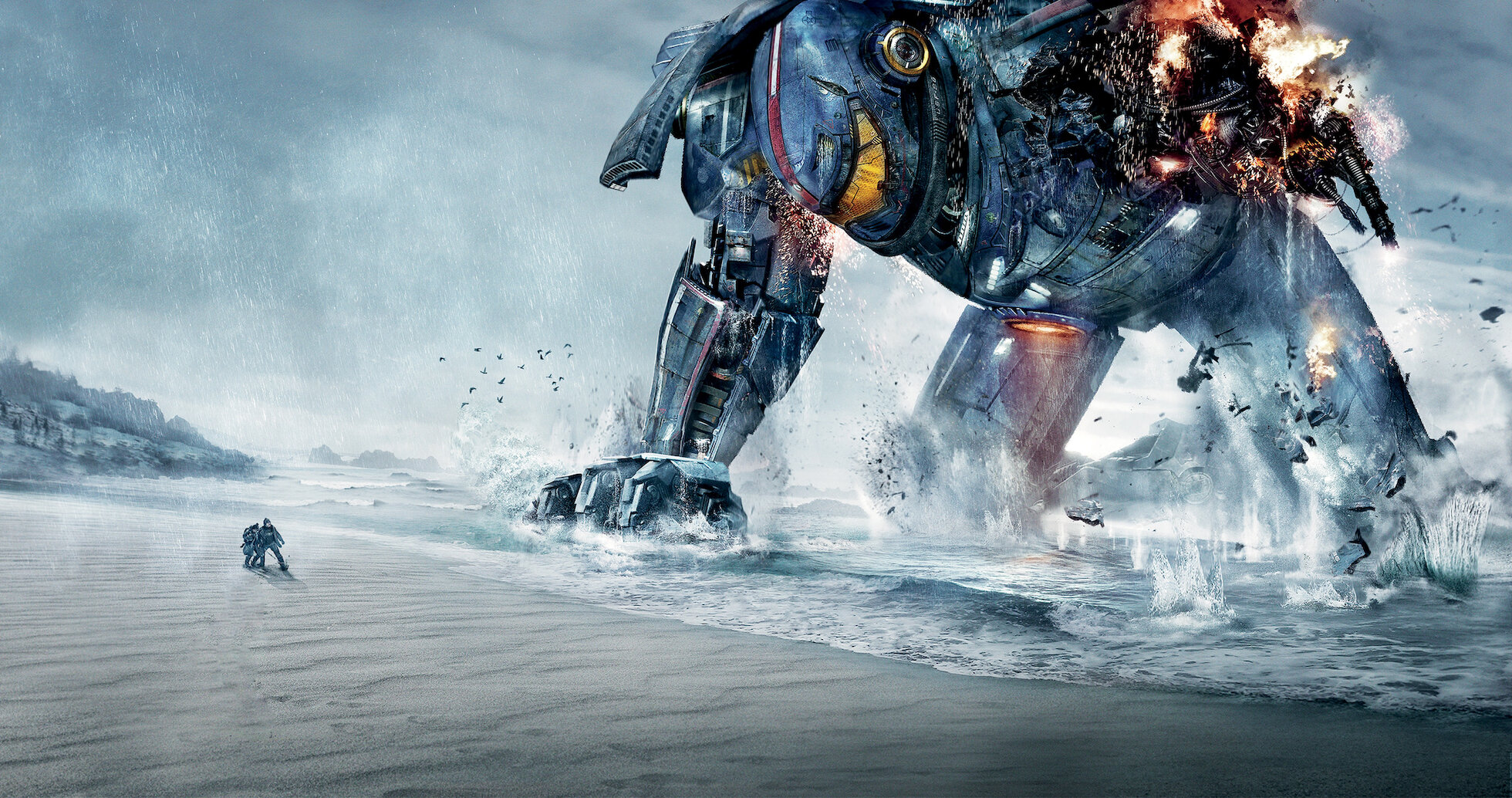 Logo Van De Pacific Rim